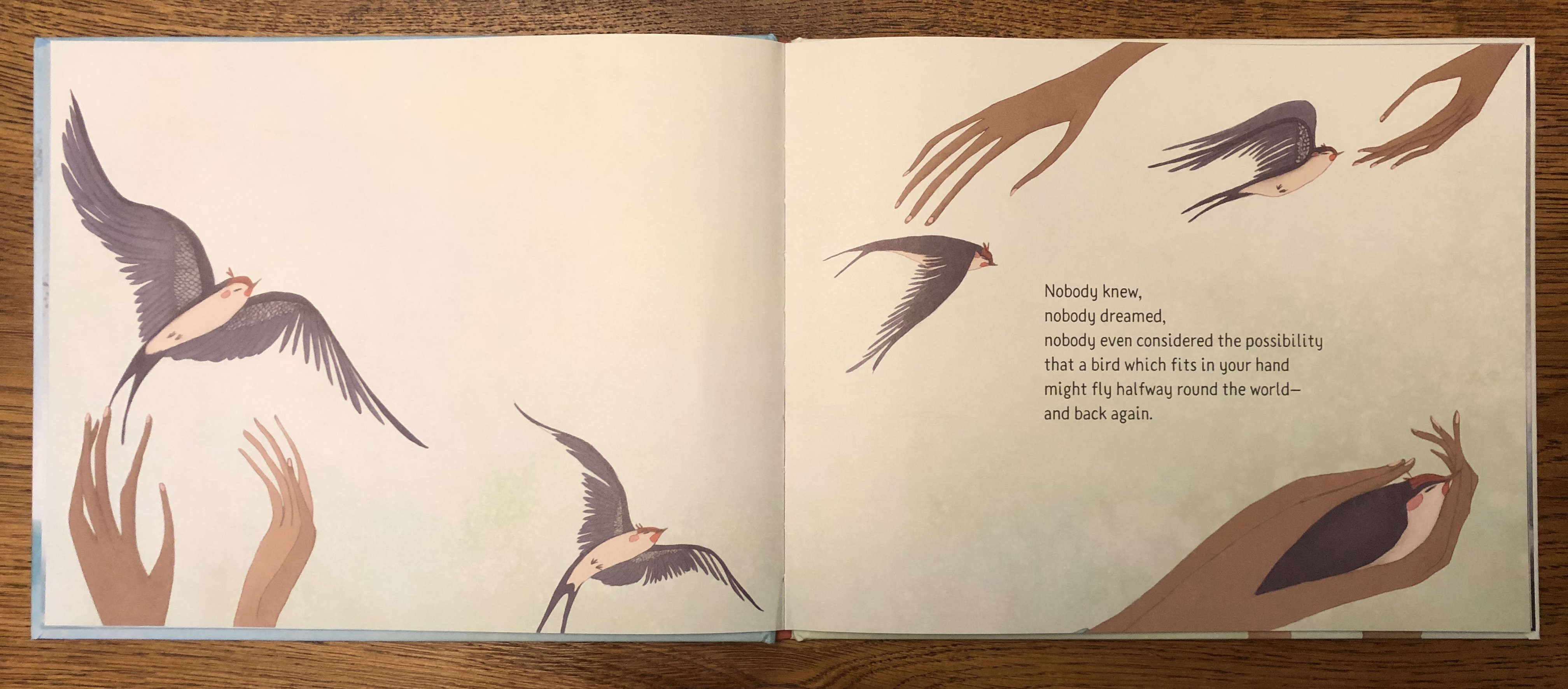 Boundless Sky by Amanda Addison & Manuela Adreani ~ #SaturdaySpotlight ...