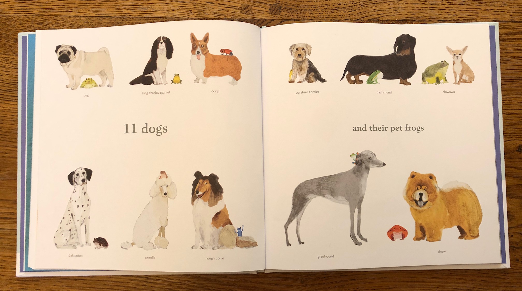 1 to 20, Animals Aplenty by Katie Viggers ~ #PictureBook #Review #STEM ...