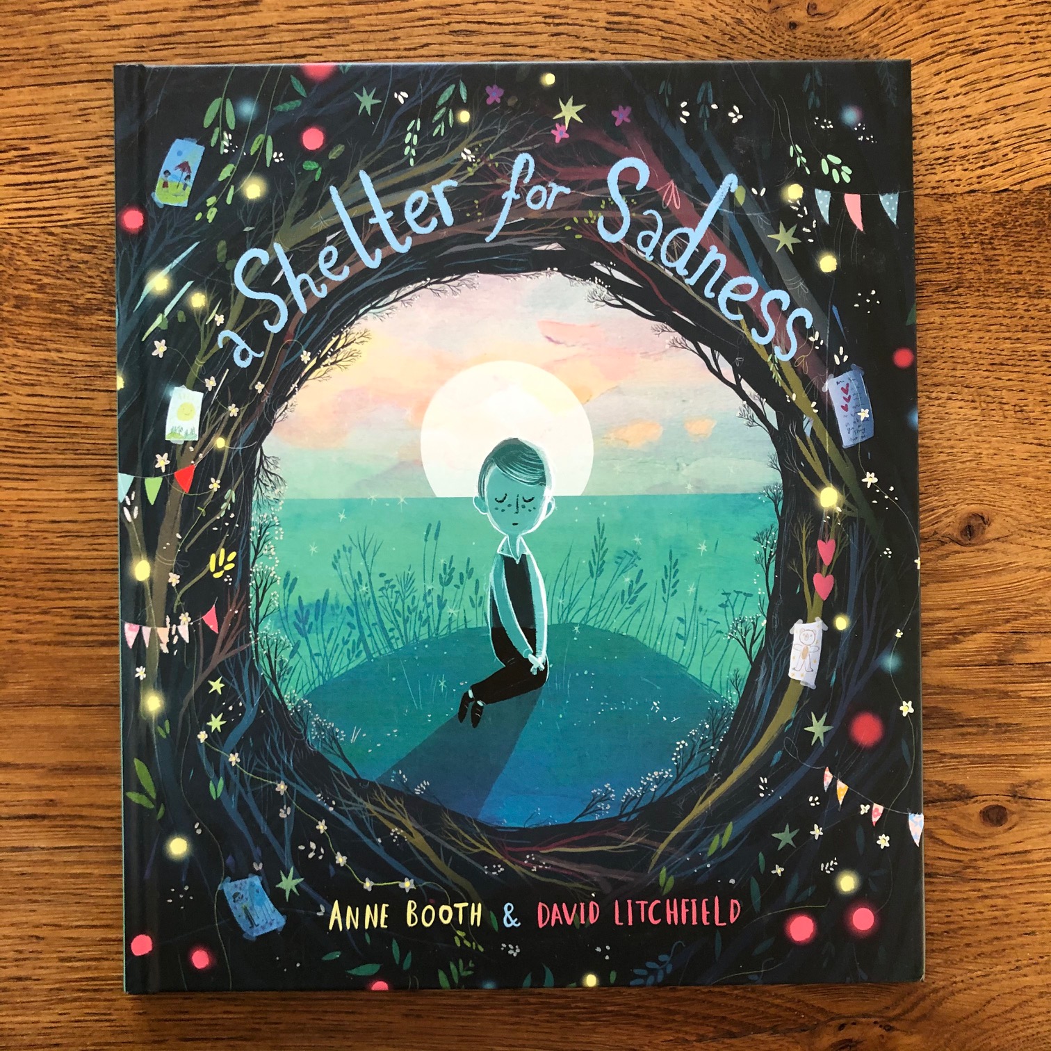 A Shelter for Sadness by Anne Booth and David Litchfield ~ #PictureBook ...