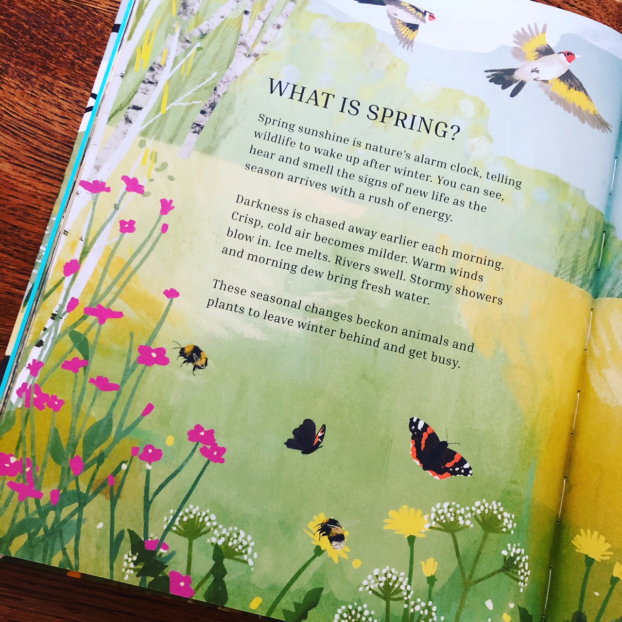 Busy Spring by Sean Taylor, Alex Morss & Cinyee Chiu ~ #PictureBook # ...