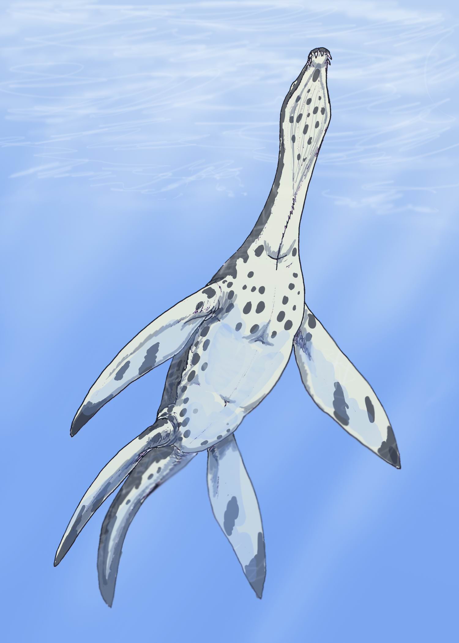 5 Top Facts about the Plesiosaur ~ #BlogTour ~ The Plesiosaur’s Neck by ...