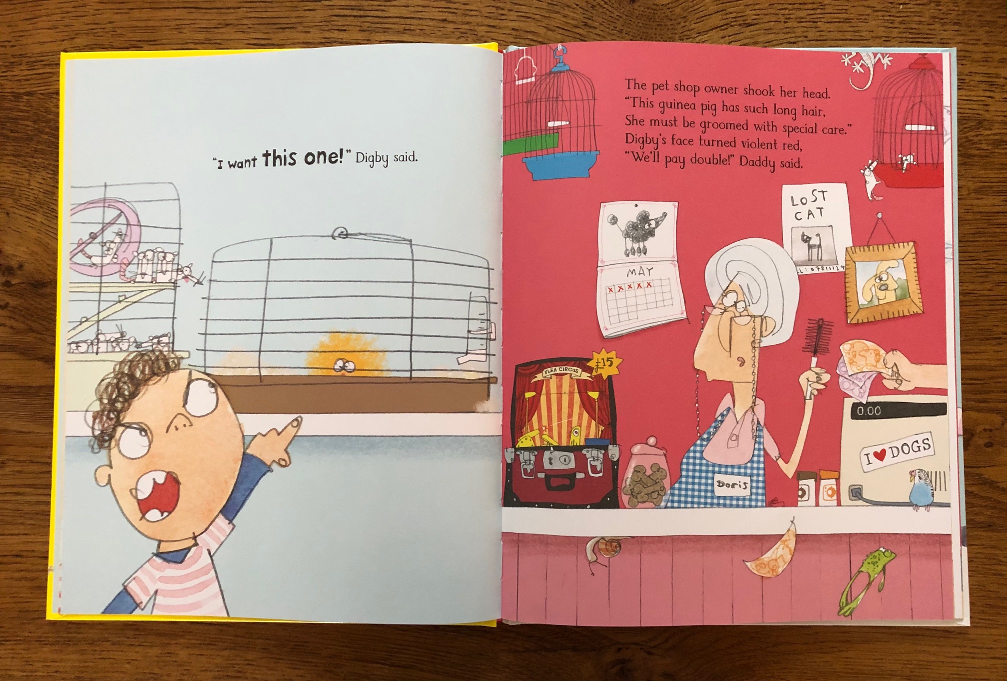 The Pet by Catherine Emmett and David Tazzyman ~ #PictureBook #Giveaway ...