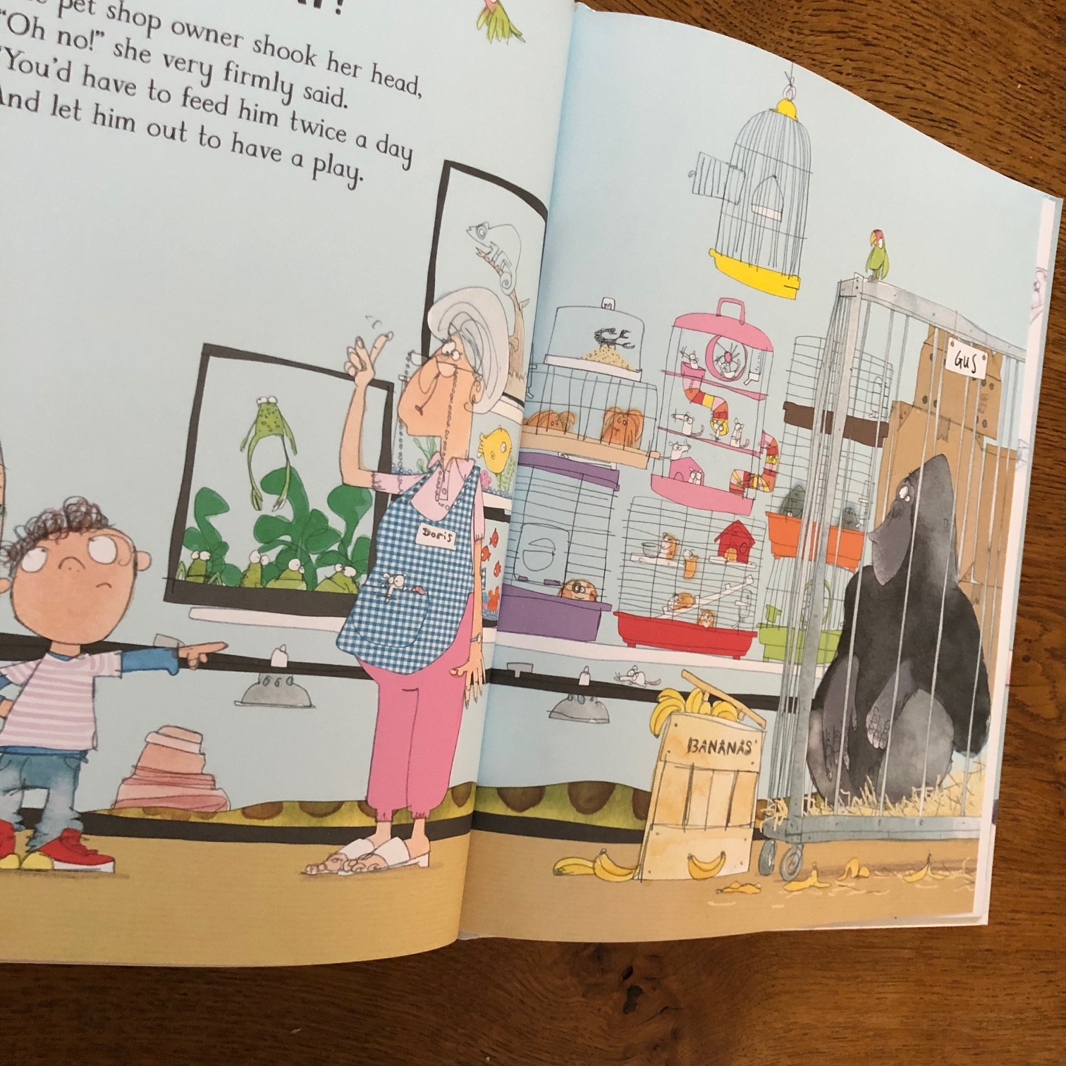 The Pet by Catherine Emmett and David Tazzyman ~ #PictureBook #Giveaway ...