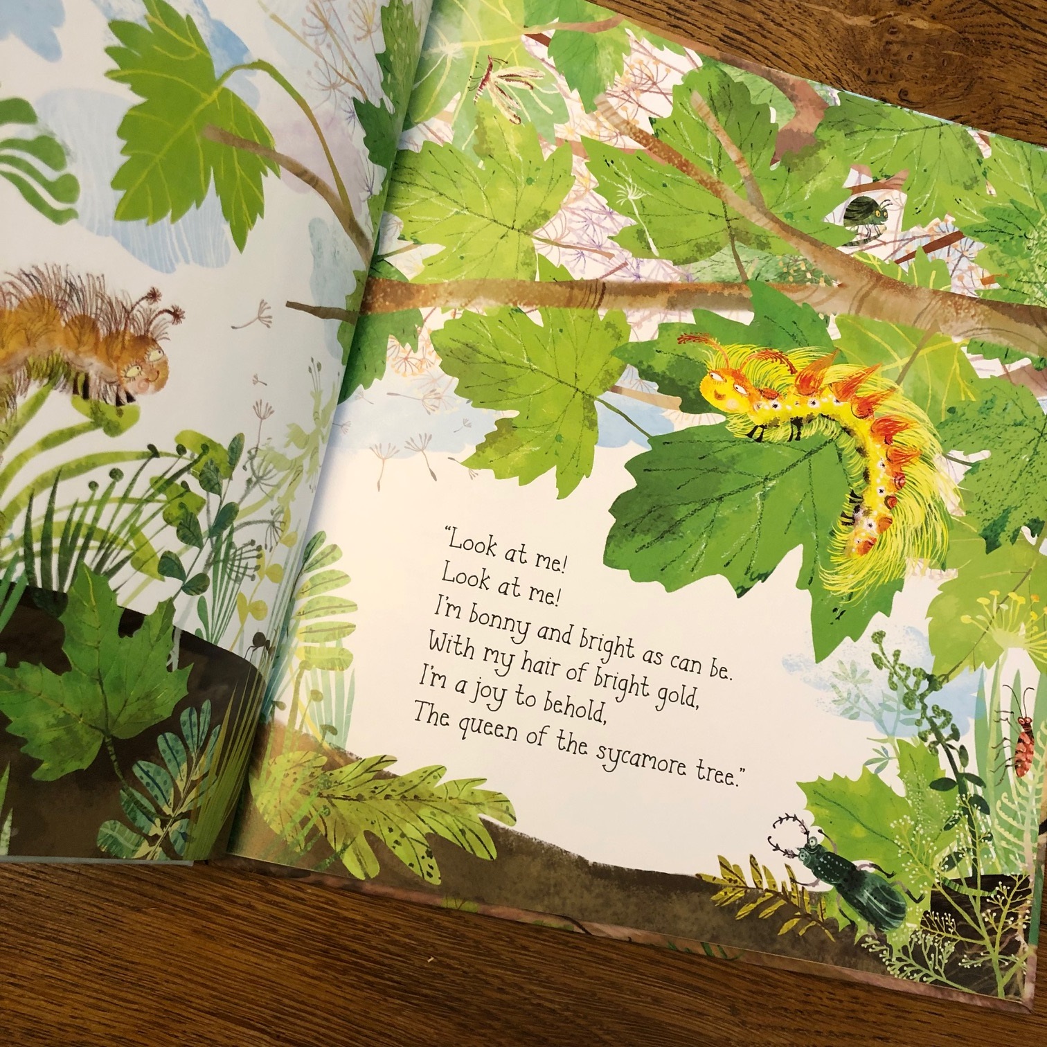 The Woolly Bear Caterpillar by Julia Donaldson and Yuval Zommer ~ # ...
