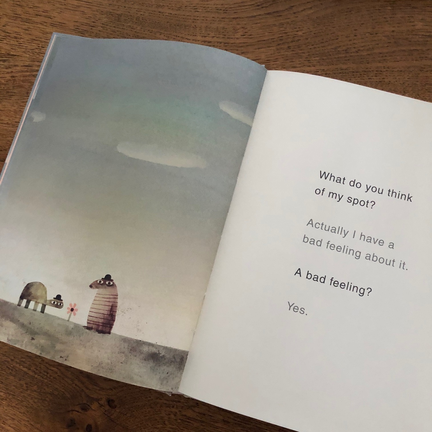 The Rock from the Sky by Jon Klassen ~ #PictureBook #Review ...